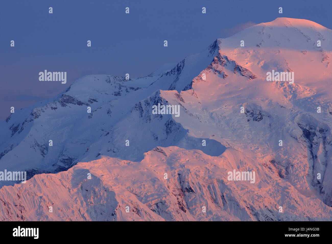 The USA, Alaska, Zentralalaska, Denali national park, Mount McKinley ...
