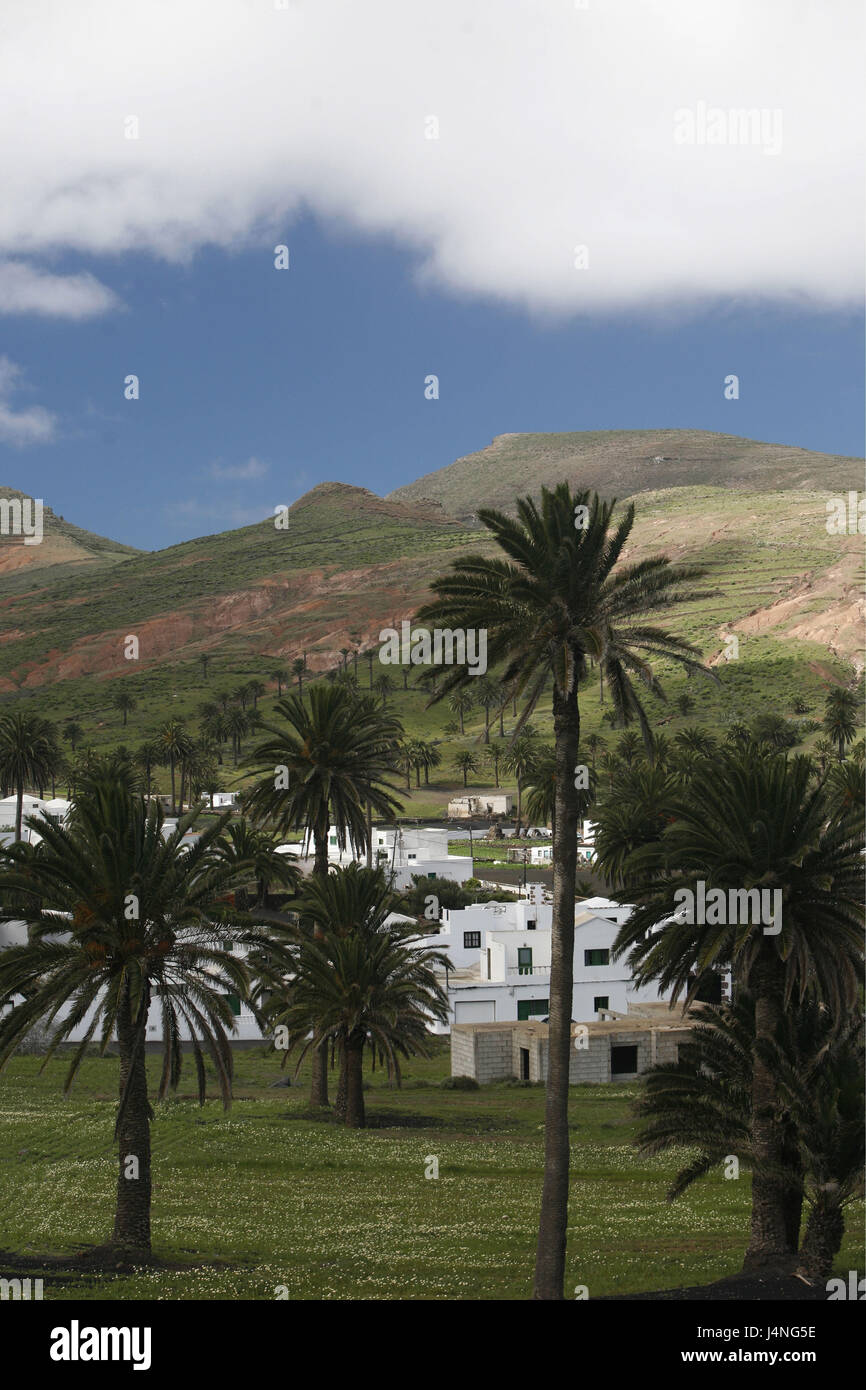 Spain, Lanzarote, Haria, local view Stock Photo - Alamy