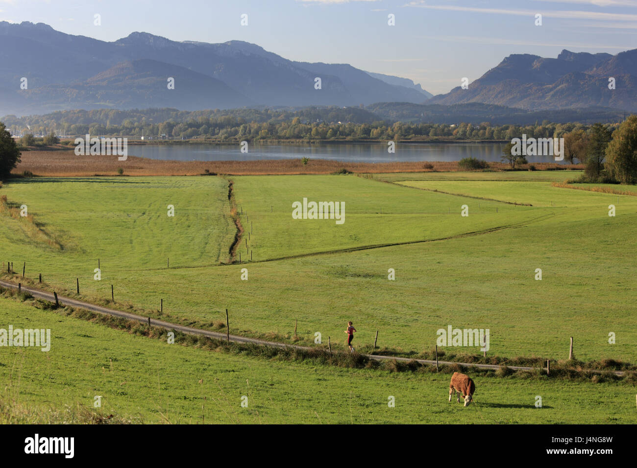 Germany, Upper Bavaria, Chiemgau, Chiemgauer alps, Lake Chiem ...