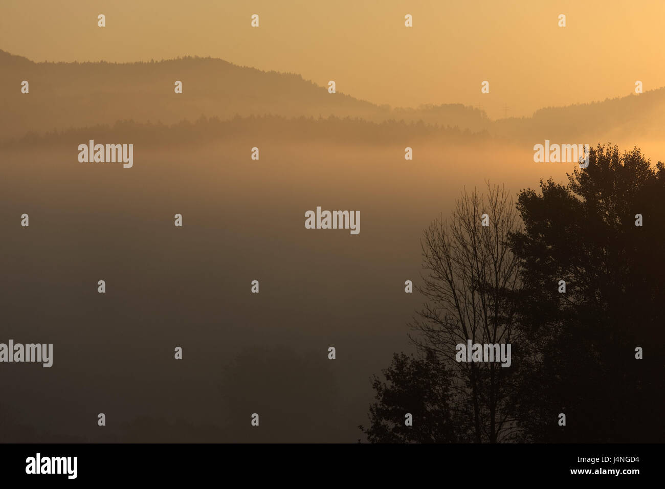 Germany, Lower Bavaria, the Bavarian Forest, daybreak Stock Photo - Alamy