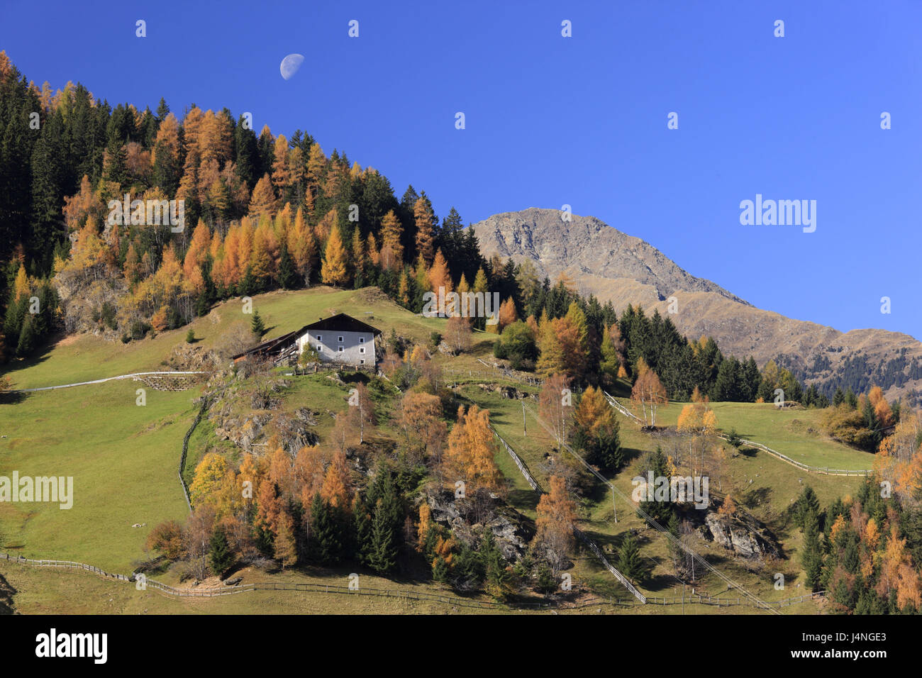 Italy, South Tirol, Ridnauntal, mountain farm, autumn Stock Photo - Alamy