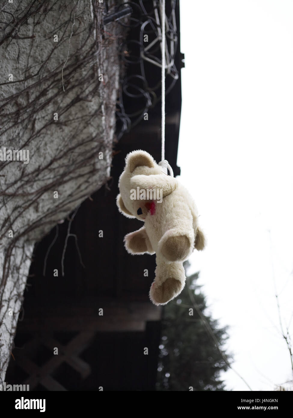 Teddy bear, rope, hang Stock Photo - Alamy