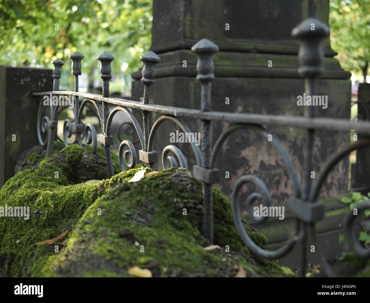 Cemetery, fence, moss, medium close-up, detail Stock Photo - Alamy
