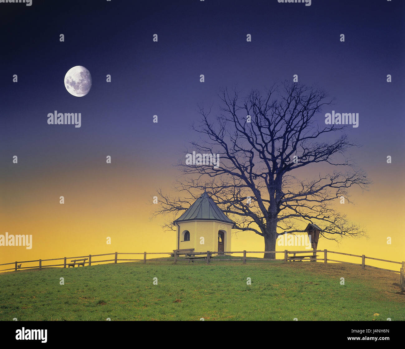 Samer tree hi-res stock photography and images - Alamy