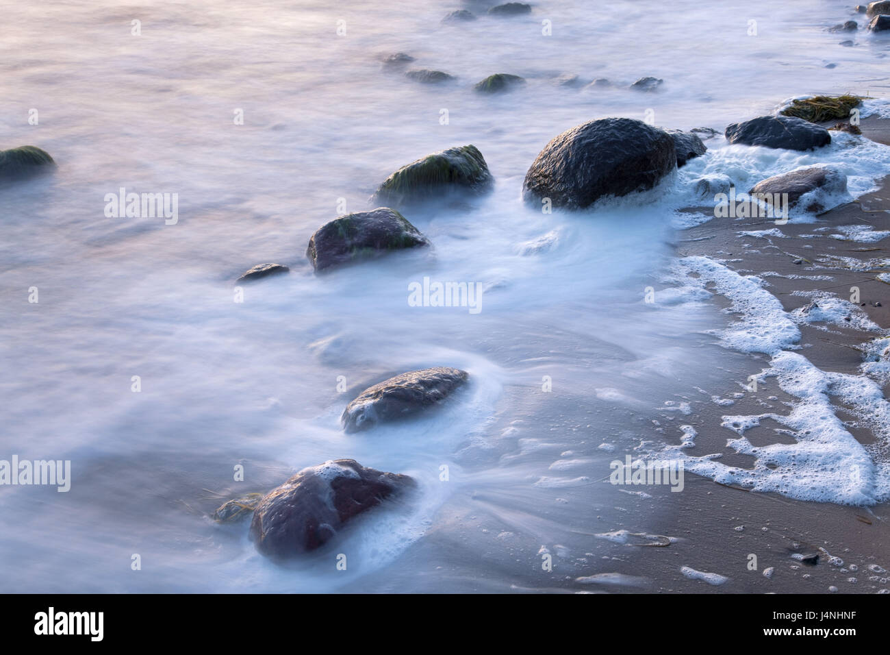 Sea, shore, stones, algae Stock Photo - Alamy