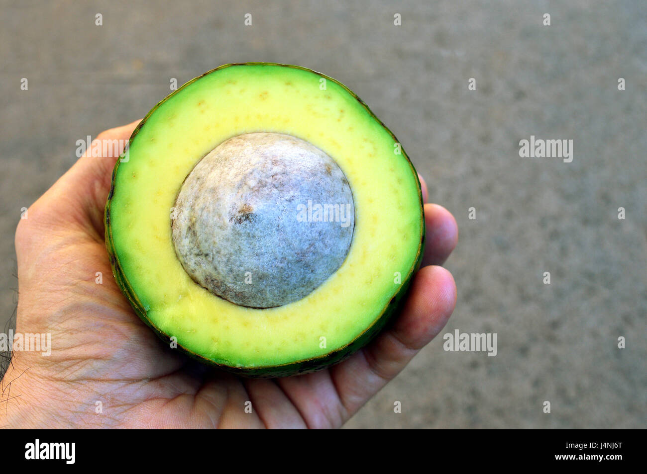 Half avocado hi-res stock photography and images - Alamy