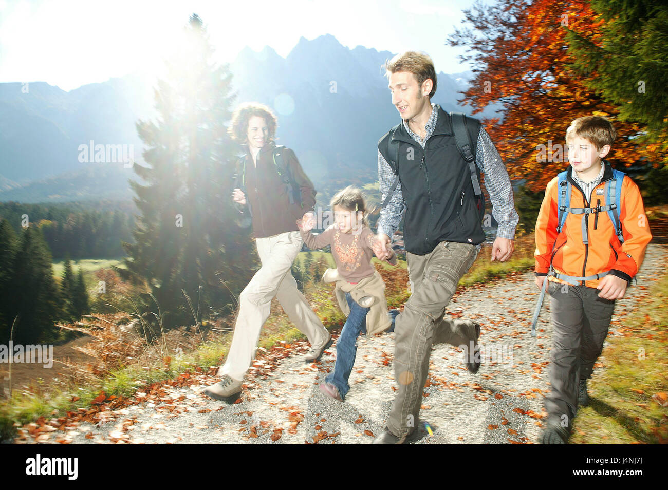 Family, walk, there run, footpath, autumn, sunny, back light, model ...