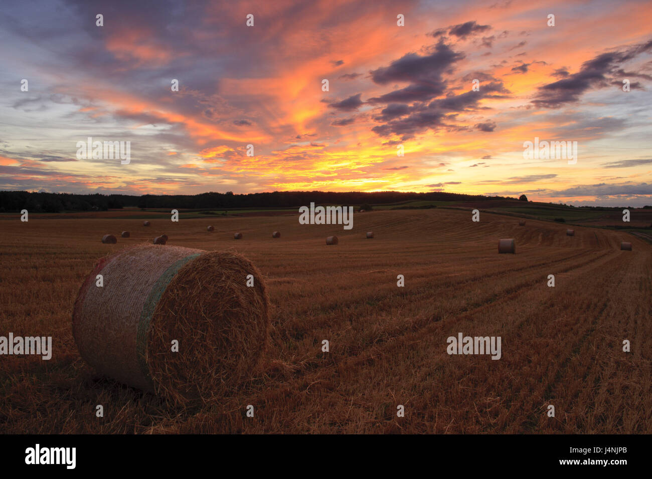 Germany, Upper Bavaria, five-lake country, field, straw bale, daybreak ...
