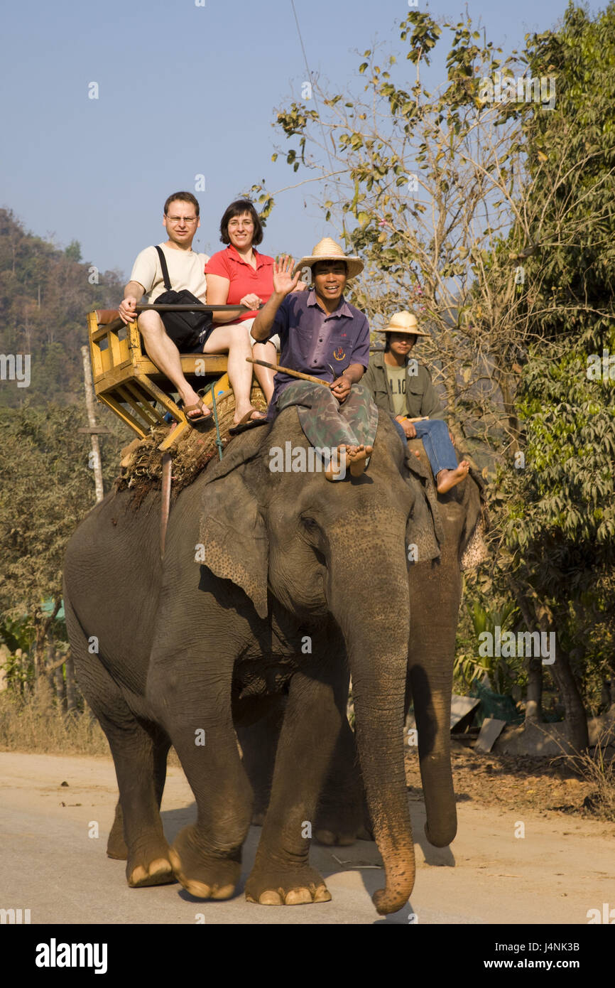 Thailand, Chiang May, Elephant camp, riding elephant, tourist Stock ...