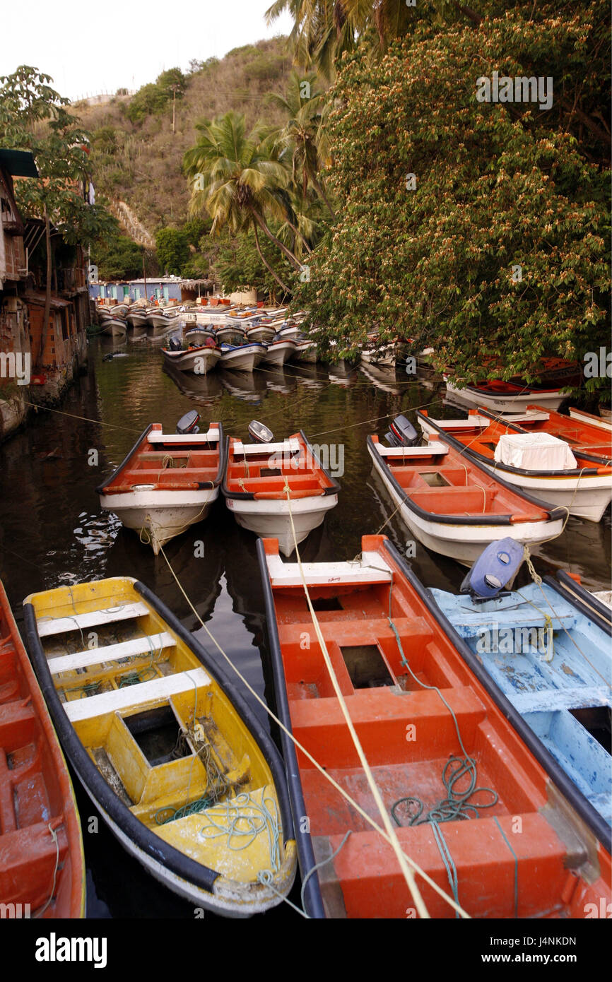 Venezuela, north coast, Henri Pittier Nationalpark, Choroni, river ...