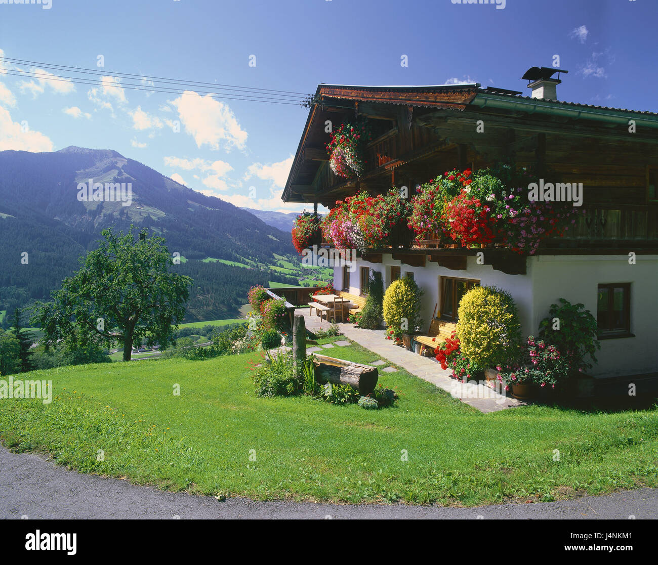 Austria, Tyrol, Brixental, Brixen in the Thale, farm, mountains ...