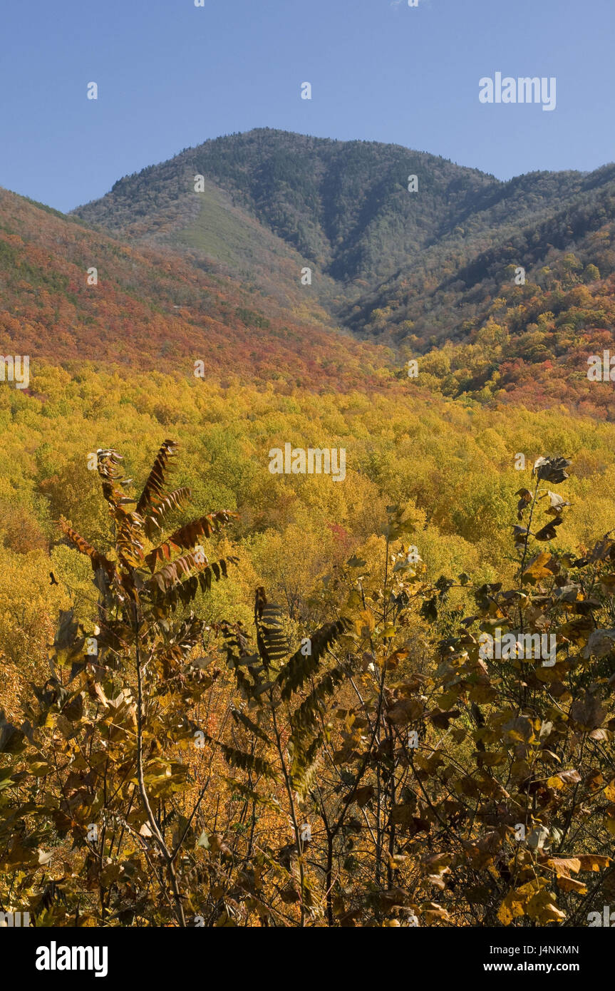 Tennessee landscape hi-res stock photography and images - Alamy