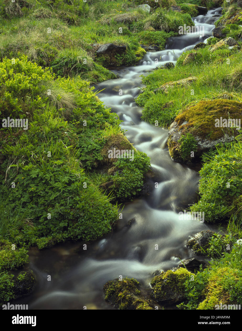 Flow virginity hi-res stock photography and images - Alamy