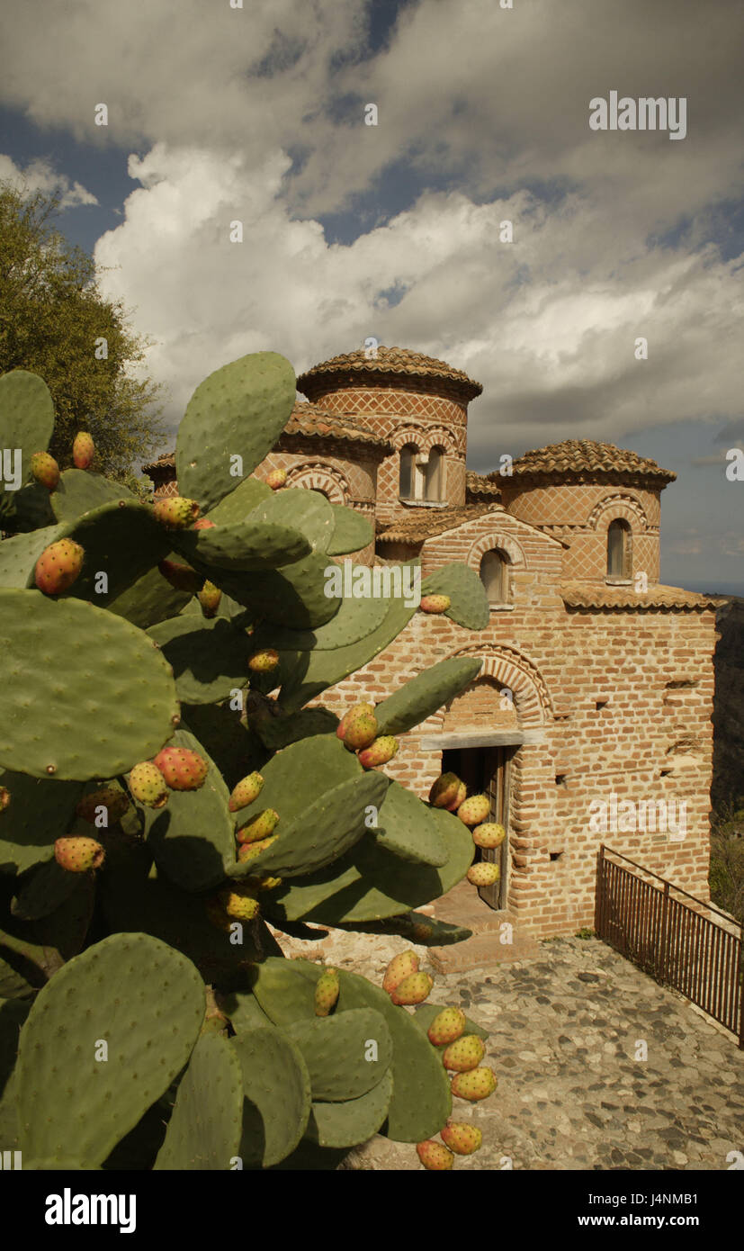 Italy, Calabria, Stilo, Cattolica Tu Stilo, cactus, fruits, detail ...
