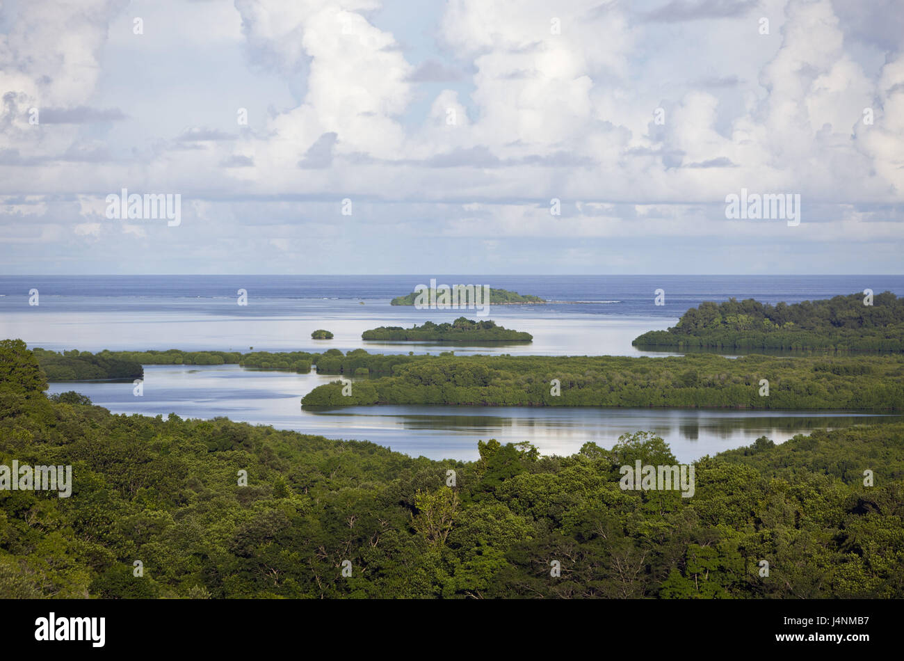Palau, island Peleliu, Bloody Nose Ridge, scenery, view Stock Photo - Alamy