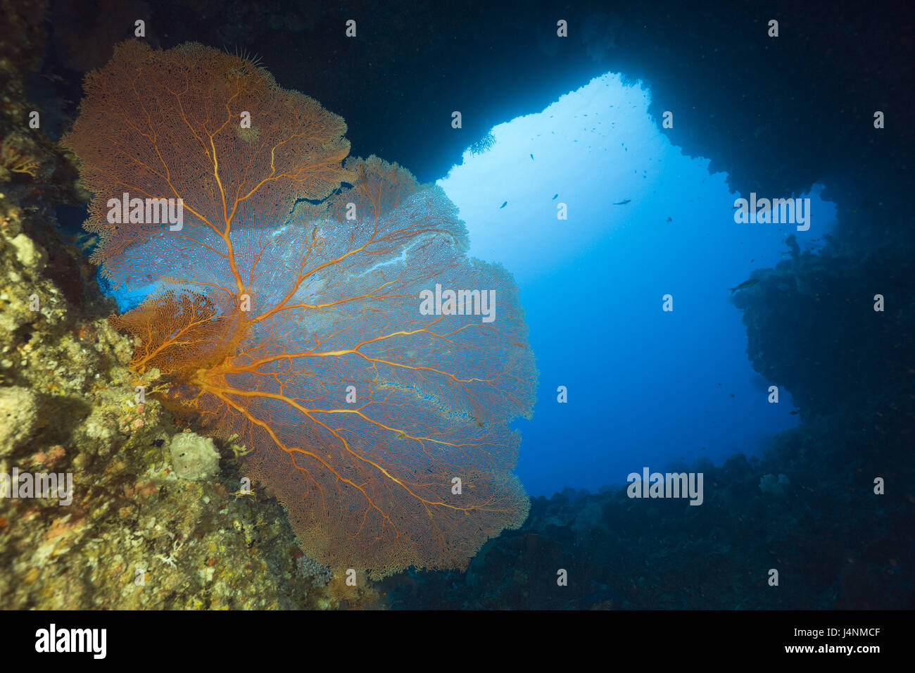 Ocean pit hi-res stock photography and images - Alamy