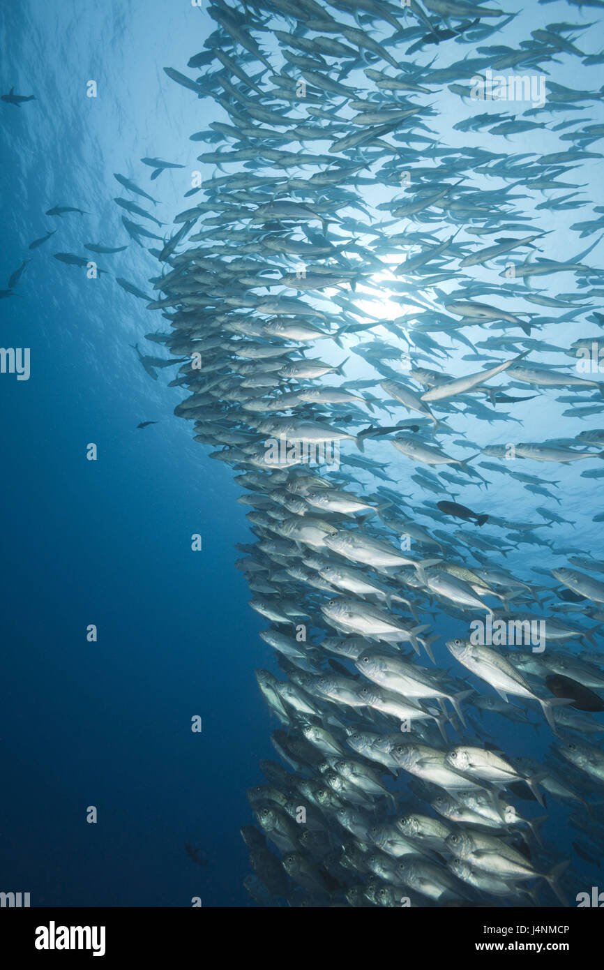 Underwater suction hi-res stock photography and images - Alamy