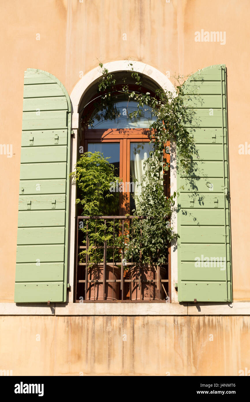 Italy, Venice, Venetian windows Stock Photo - Alamy