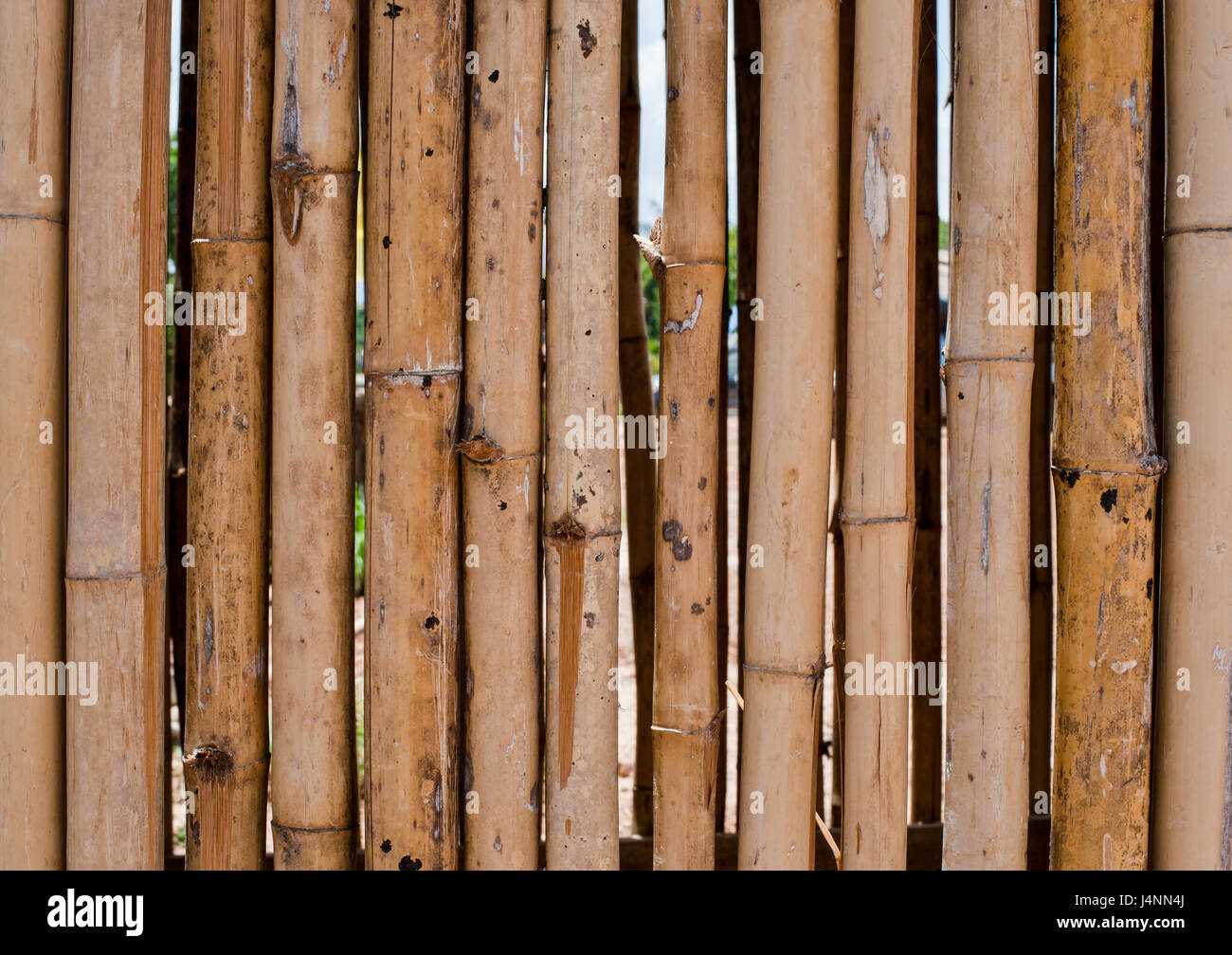 beautiful Thai bamboo fence background Stock Photo - Alamy