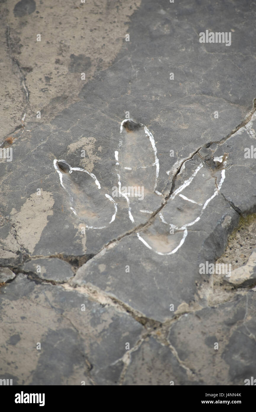 Theropod footprints. La Era del Peladillo site in IGEA village, La ...