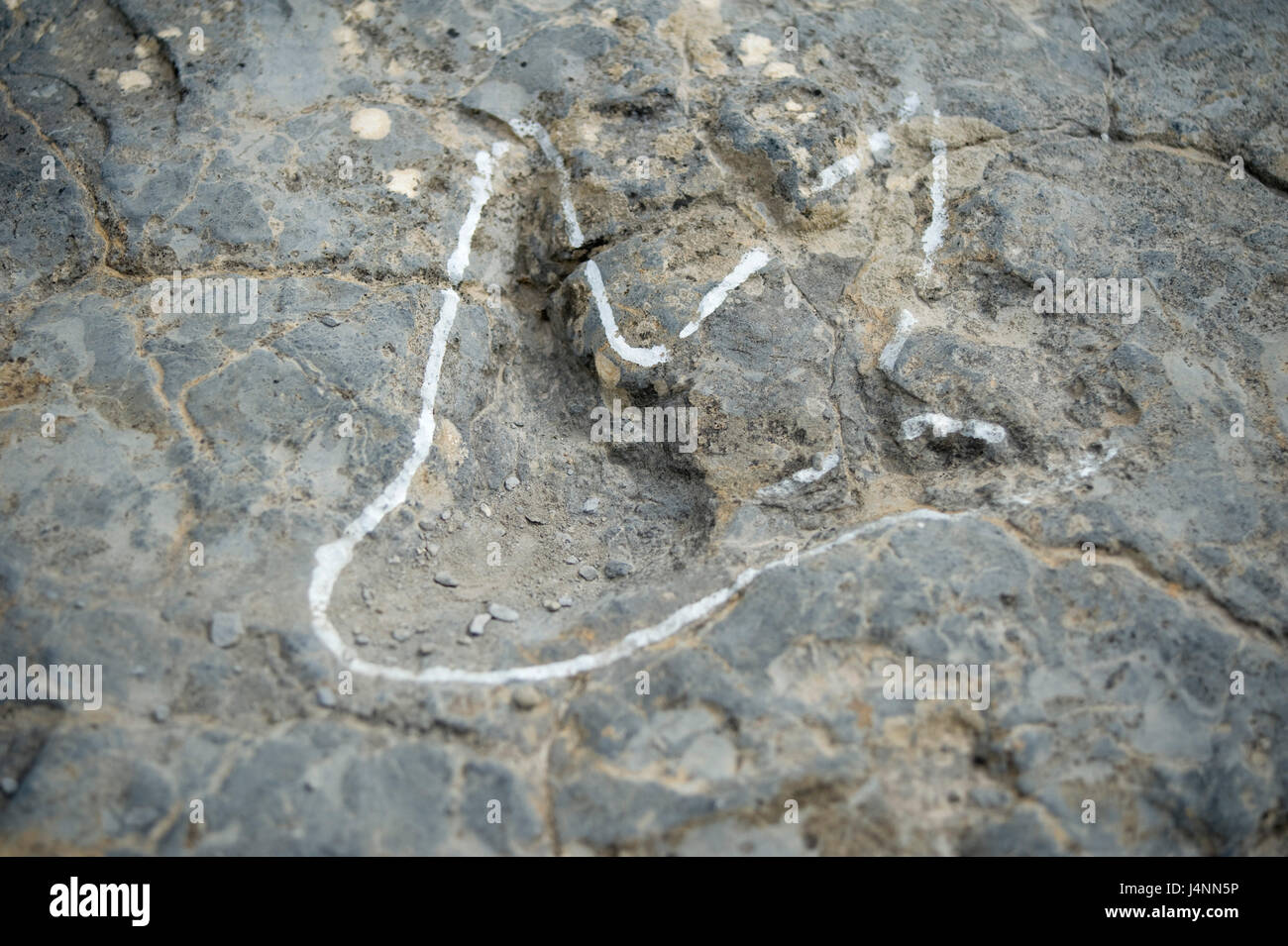 Theropod footprints. La Era del Peladillo site in IGEA village, La ...