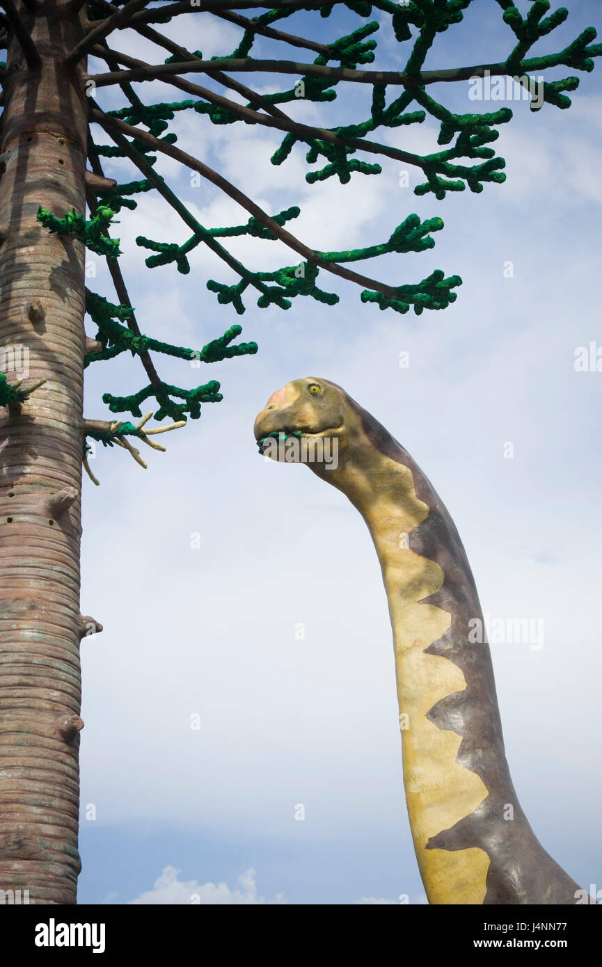 Replica of sauropod camarasaurus eating leafs of araucaria conifer tree ...