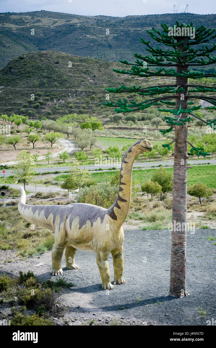 Replica of sauropod camarasaurus eating leafs of araucaria conifer tree ...