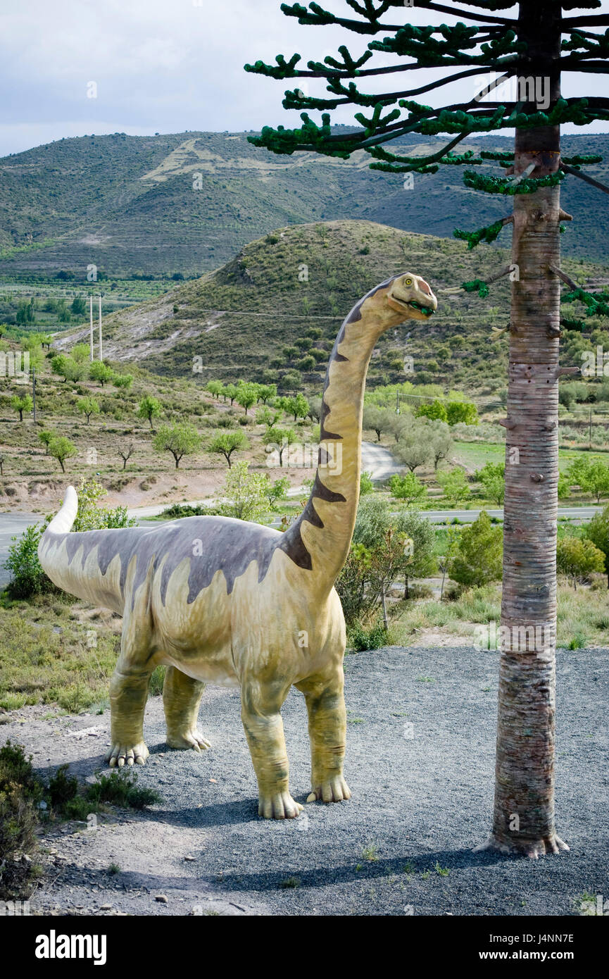 Replica of sauropod camarasaurus eating leafs of araucaria conifer tree ...