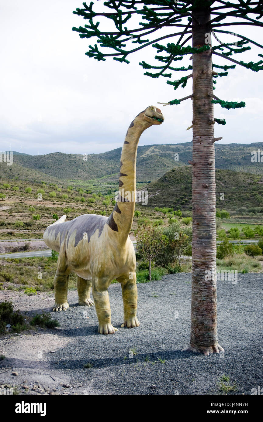 Replica of sauropod camarasaurus eating leafs of araucaria conifer tree ...