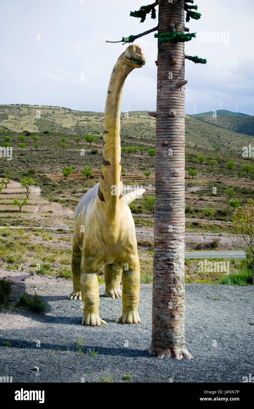 Replica of sauropod camarasaurus eating leafs of araucaria conifer tree ...