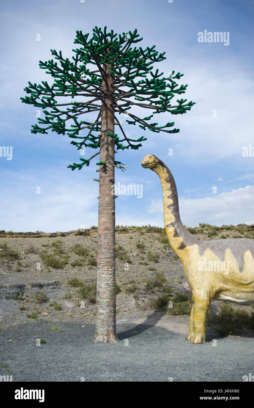 Replica of sauropod camarasaurus eating leafs of araucaria conifer tree ...