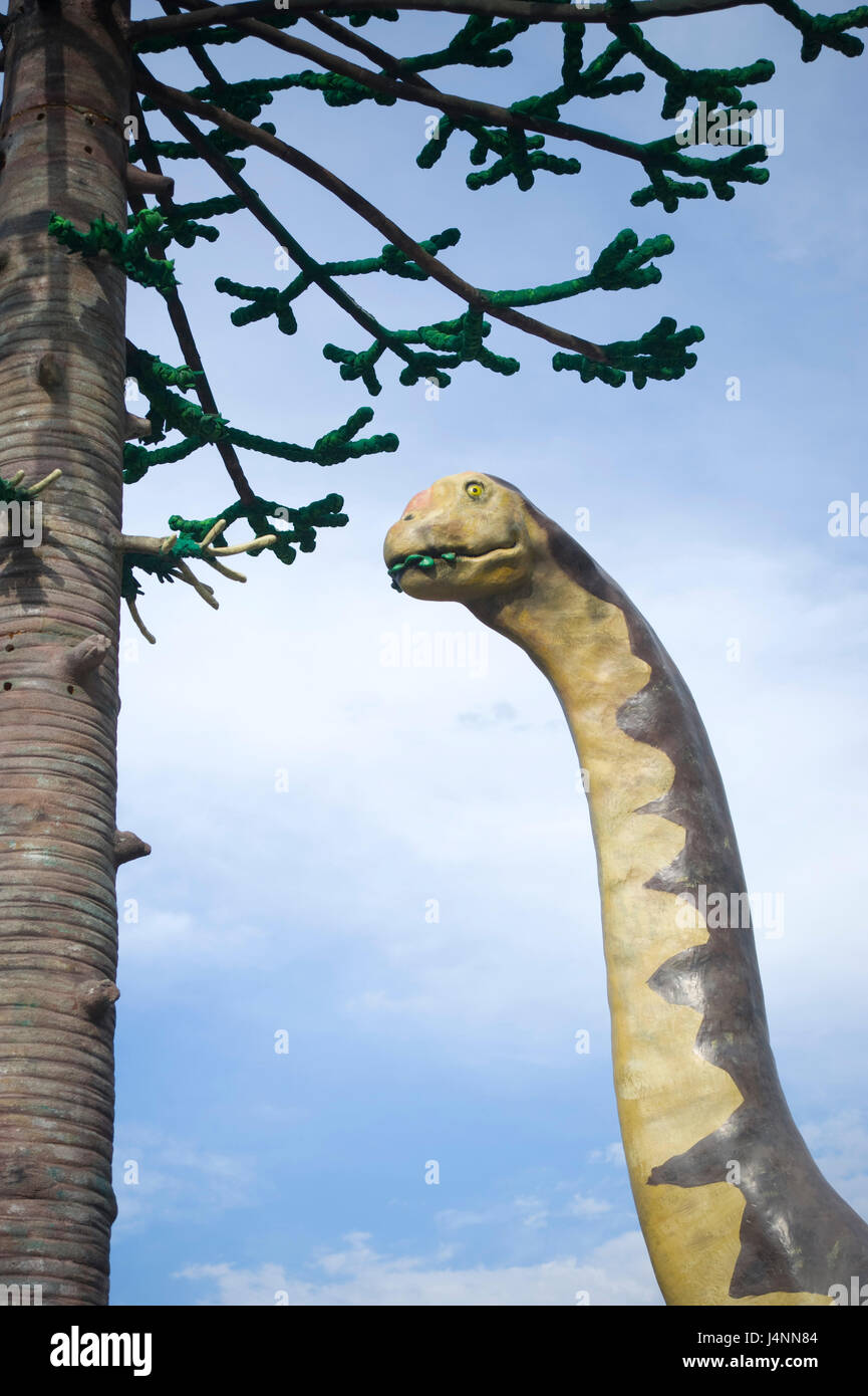 Replica of sauropod camarasaurus eating leafs of araucaria conifer tree ...