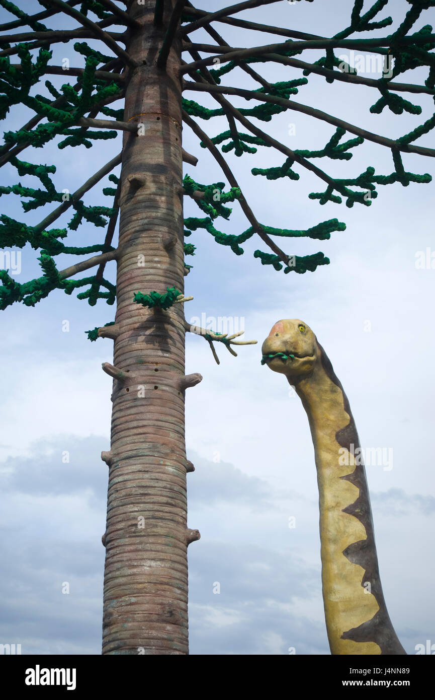 Replica of sauropod camarasaurus eating leafs of araucaria conifer tree ...