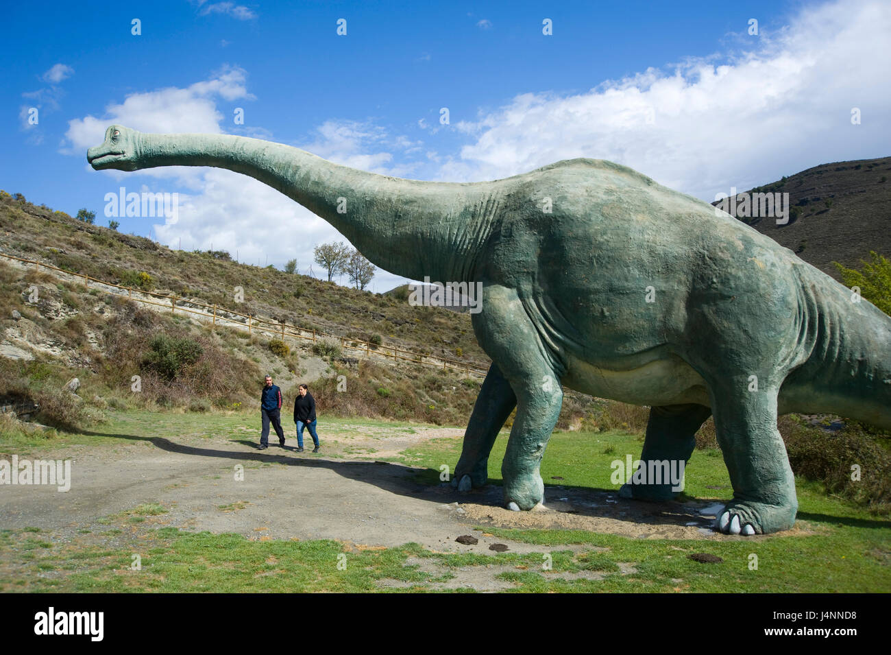 Brachiosaurus Sauropod