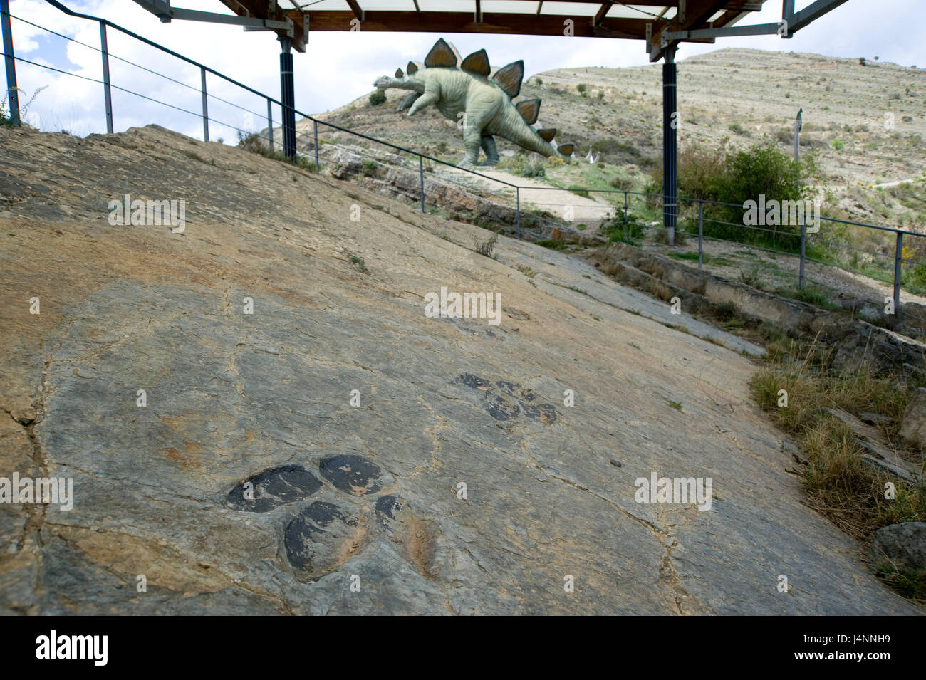 Theropod footprints and life size replica of Stegosaurus dinosaur in ...
