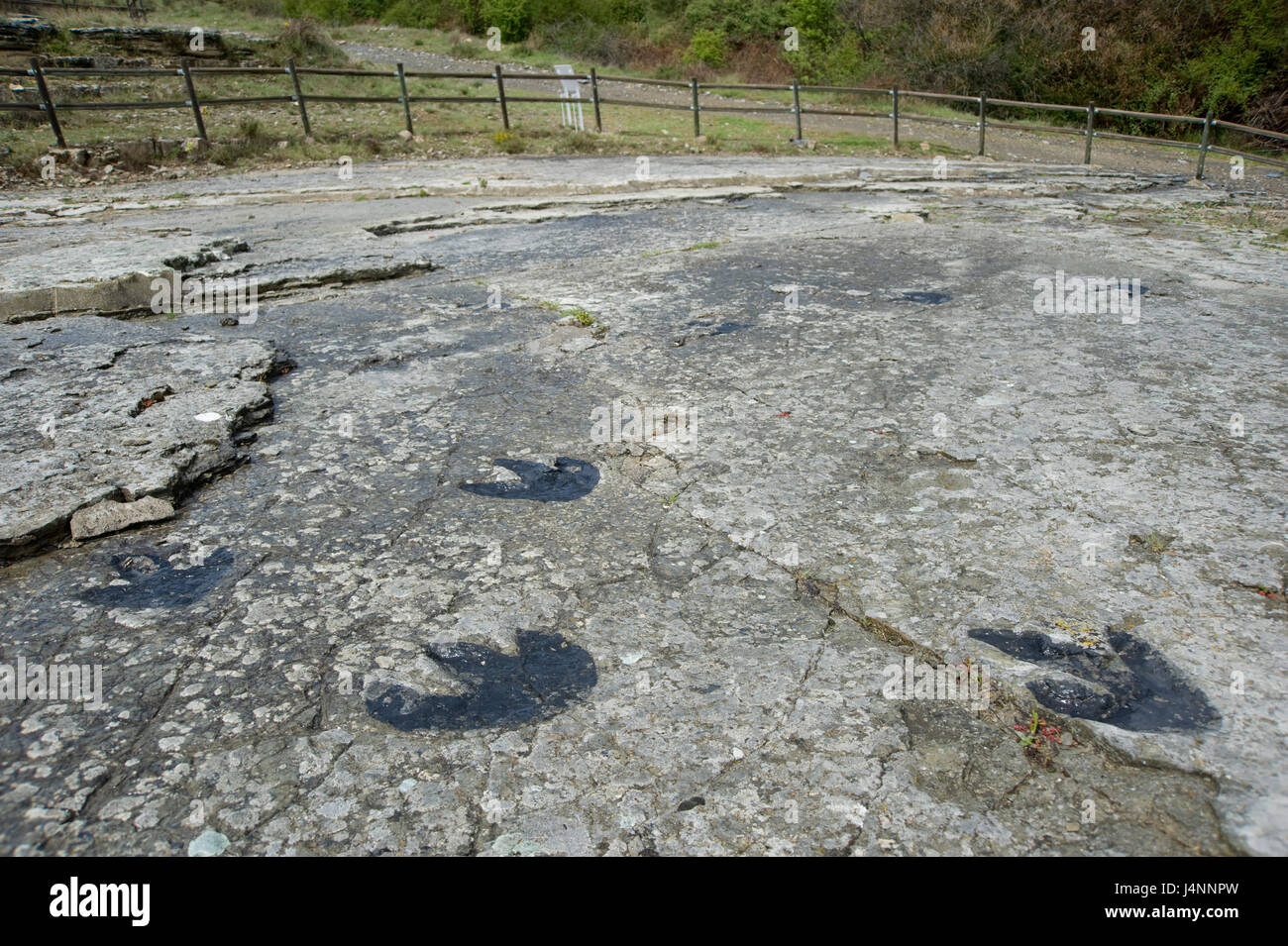 Footprints of theropod dinosaur in Fuente Lacorte site near Bretun ...