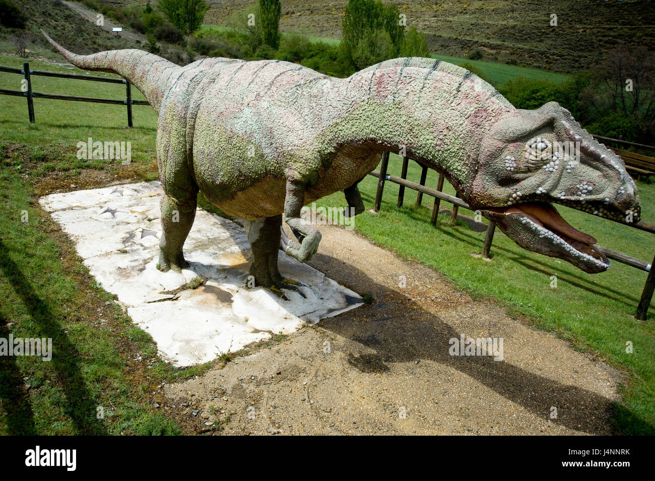 Life size replica of theropod Allosaurus dinosaur in Fuente Lacorte ...
