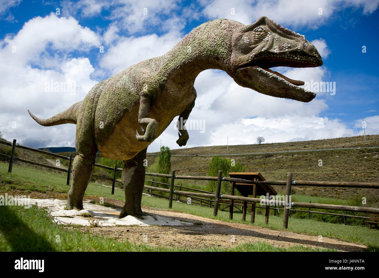 Life size replica of theropod Allosaurus dinosaur in Fuente Lacorte ...