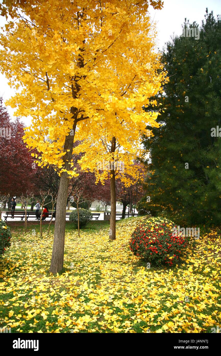 the beautiful autumn in xian city ,china Stock Photo - Alamy