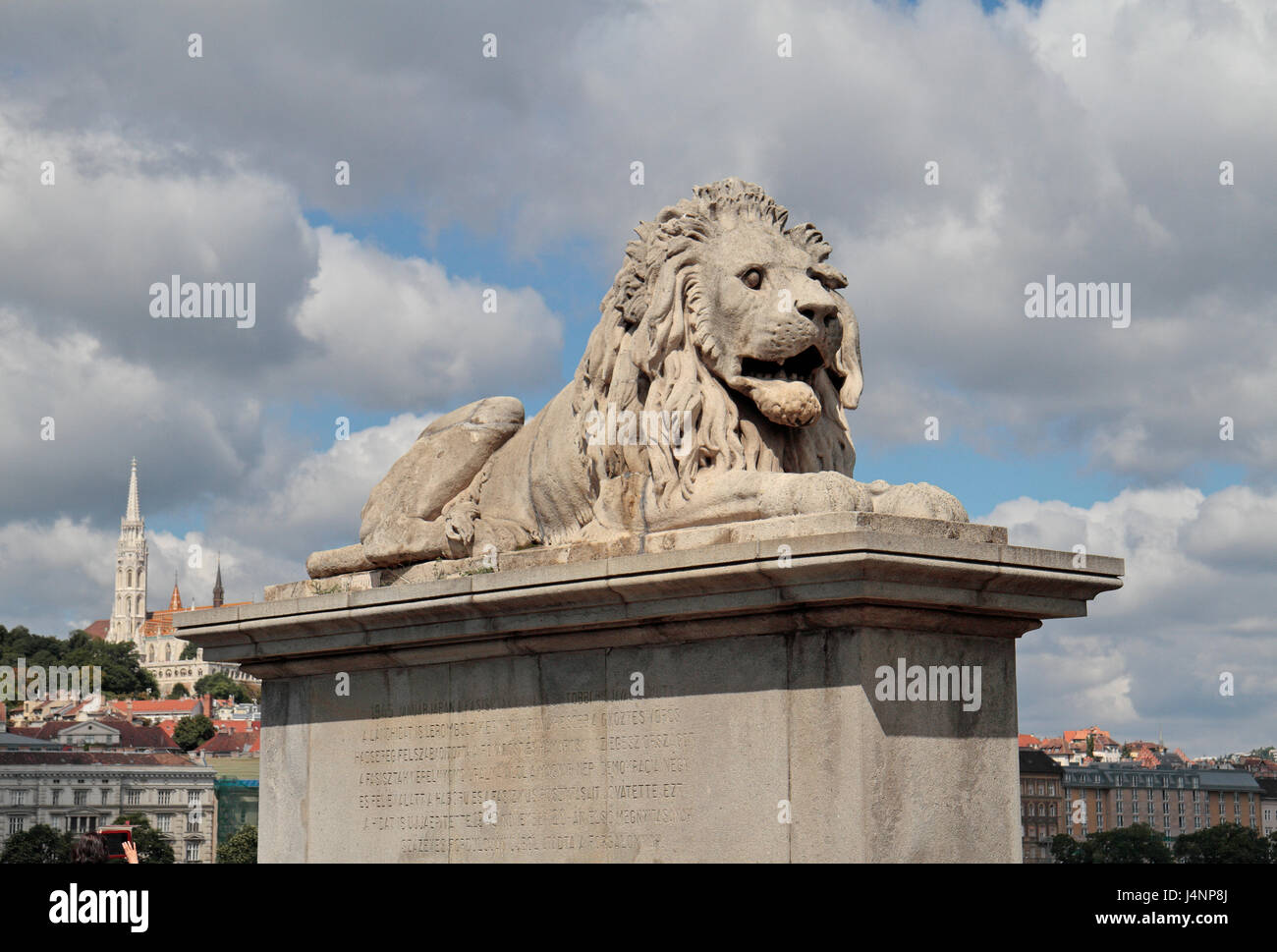 Budapest chain bridge lion hi-res stock photography and images - Alamy