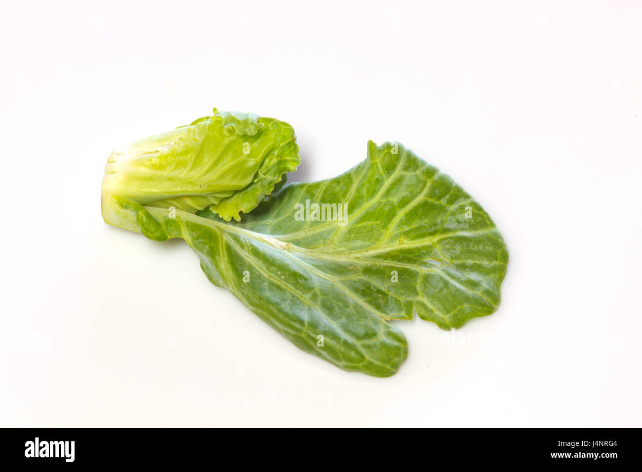 vegetable Chinese Kale sprout on white background Stock Photo - Alamy
