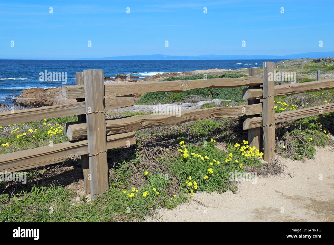 Split-rail fence and yellow flowers of the escaped weed Bermuda ...