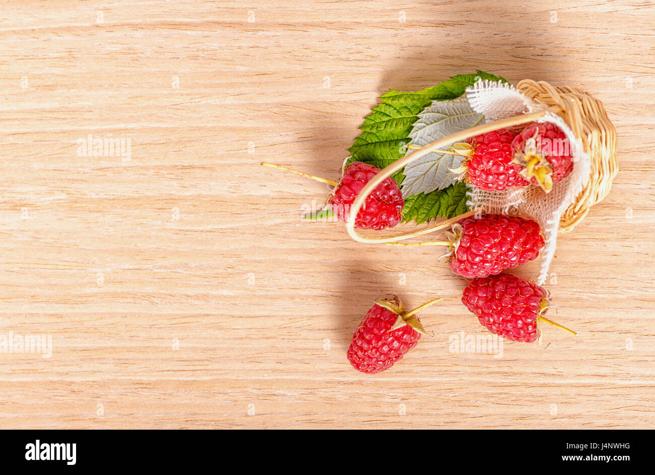 top view of red ripe raspberries scattered from basket to wooden table ...