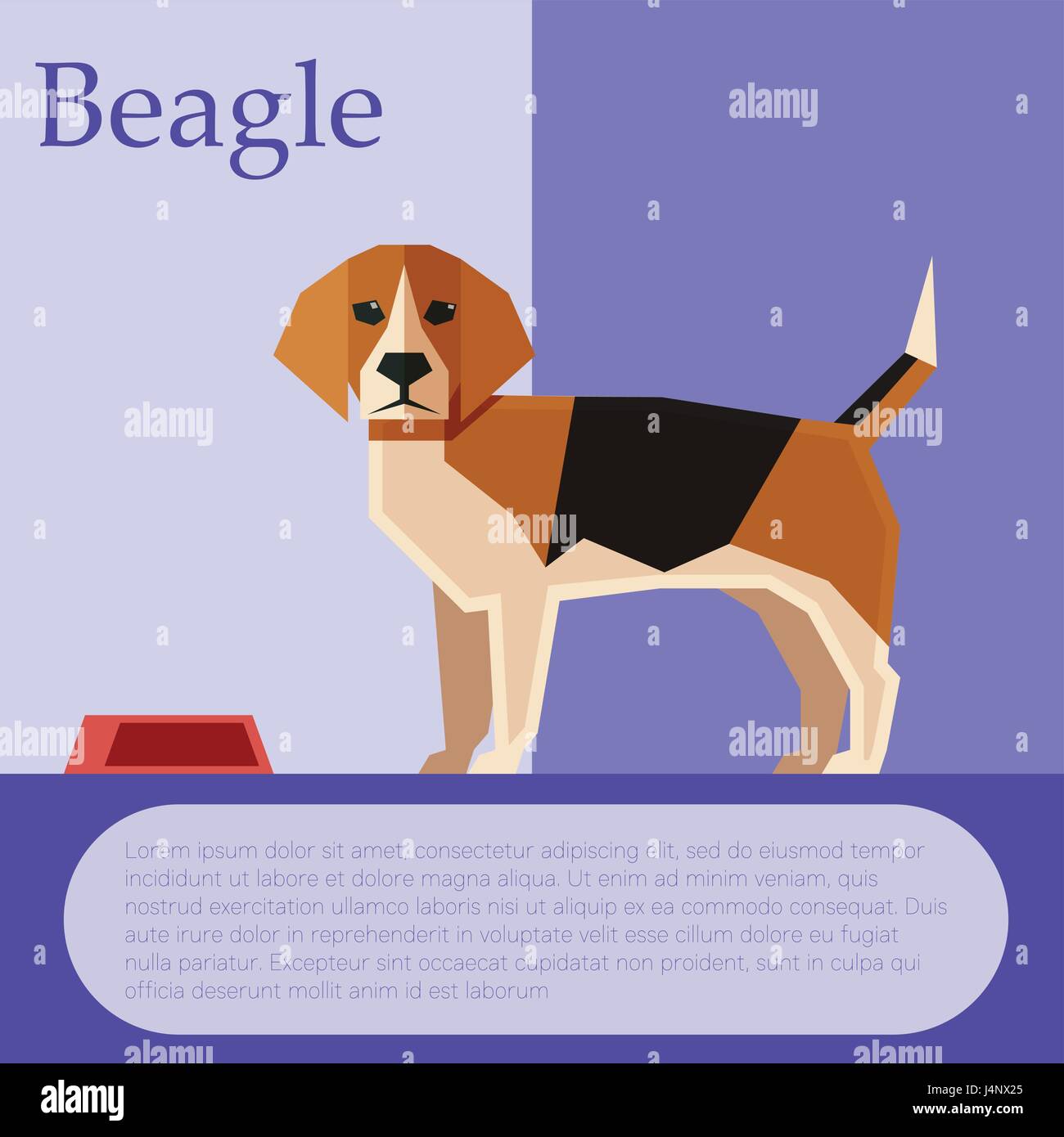 Beagle head Stock Vector Images - Alamy