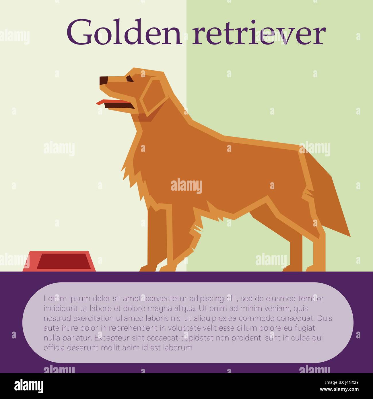 Golden retriever vector hi-res stock photography and images - Alamy
