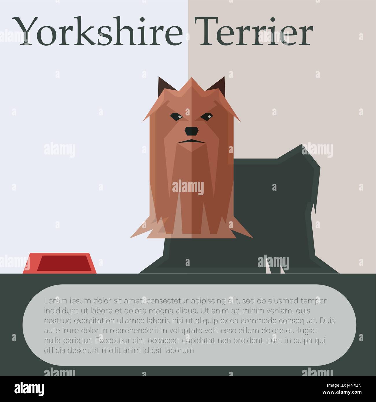 Yorkshire terrier dog brown Stock Vector Images - Alamy