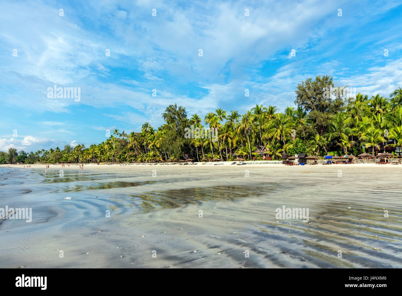 Stock Photo - Palm beach, Ngapali Beach, Thandwe, Rakhine Coast, Bay of ...