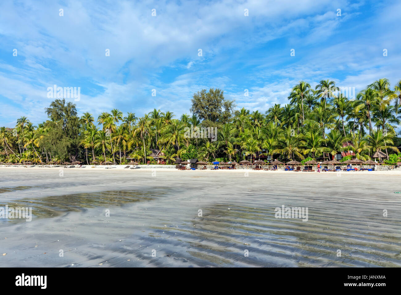 Myanmar palm trees High Resolution Stock Photography and Images - Alamy