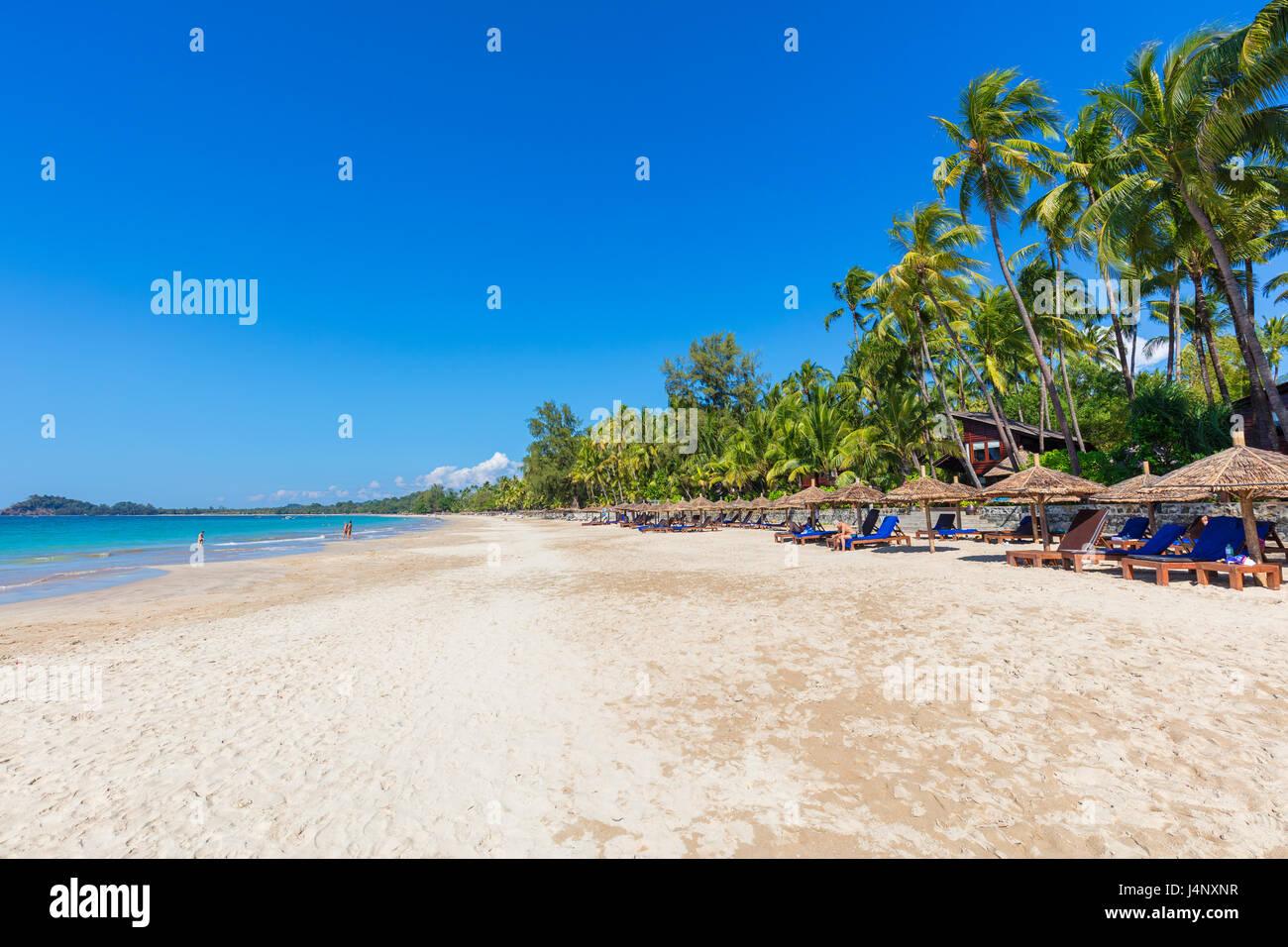 Stock Photo - Sandy beach under palm trees in Ngapali Beach, Thandwe ...