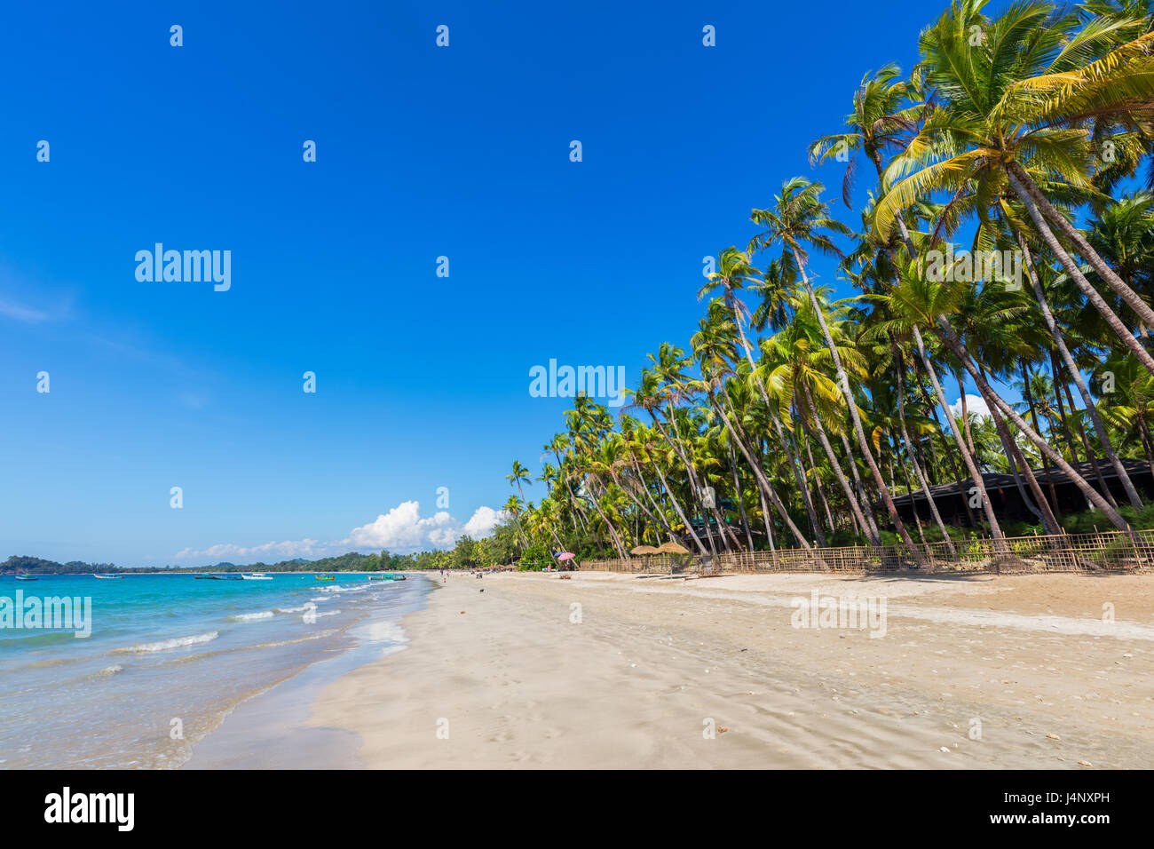 Stock Photo - Sandy beach under palm trees in Ngapali Beach, Thandwe ...